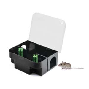 Derattizzazione con Trappole per Topi